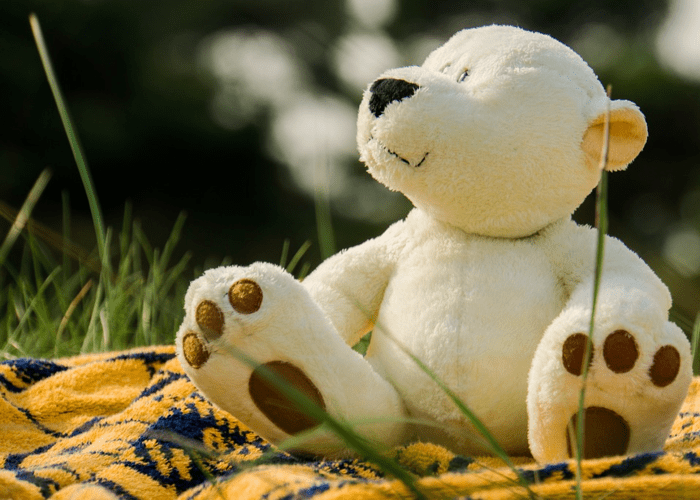 Teddy goes camping