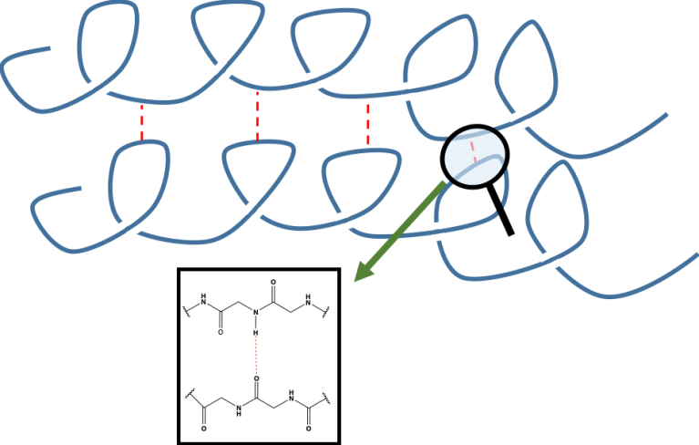 Protein Building Blocks
