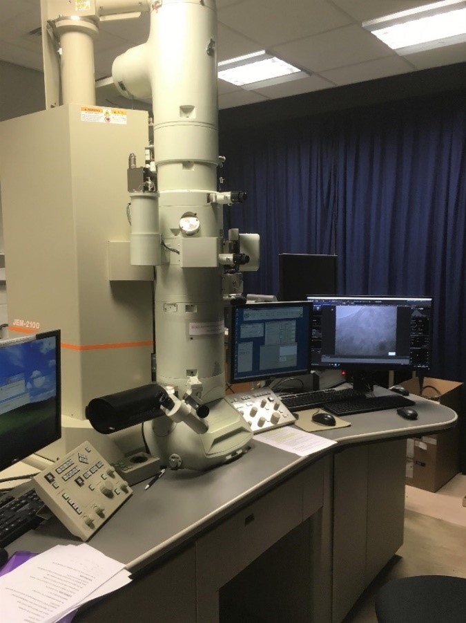 Transmission electron microscopy (TEM)