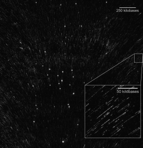 DNA barcodes for healthcare
