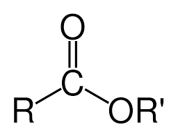 Kinetics of Ester Formation via Fischer Esterification
